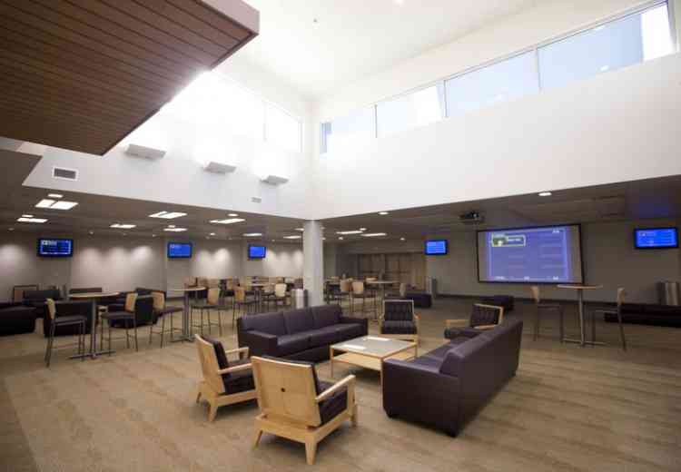 Join the team behind the Tigers - Tiger Athletic Foundation